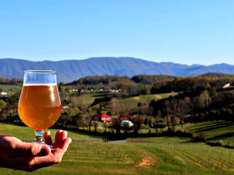 Great Valley Farm Brewery and Winery