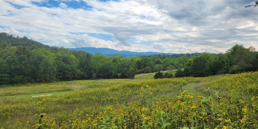 Blue Ridge Trail, Natural Bridge State Park